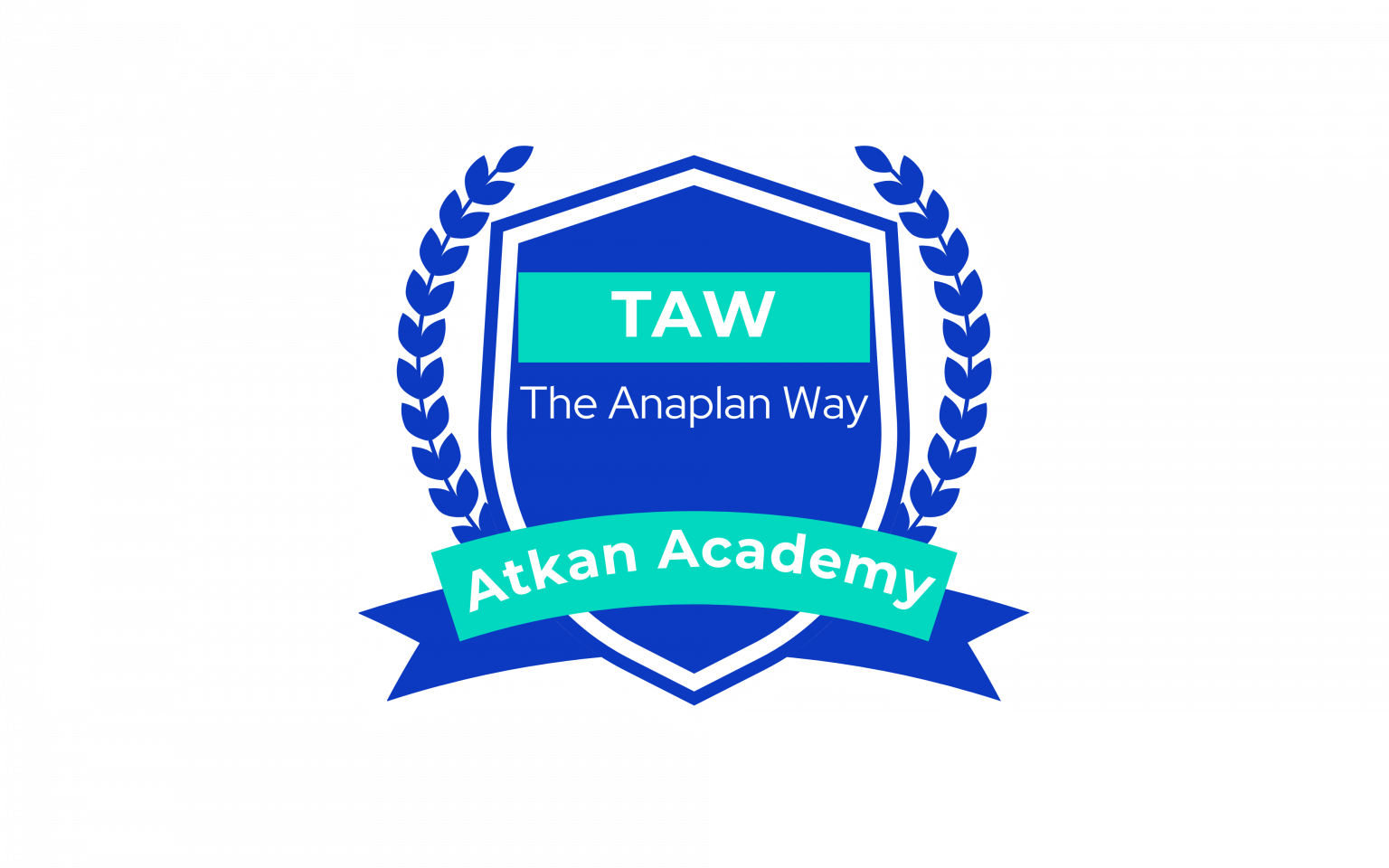 Formation Anaplan - Atkan Academy
